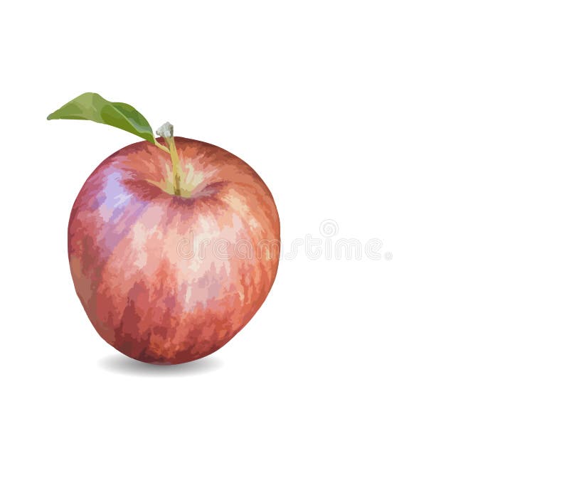 Illustration Pomme Rouge Gala 1 Fruit . Illustration Stock ...