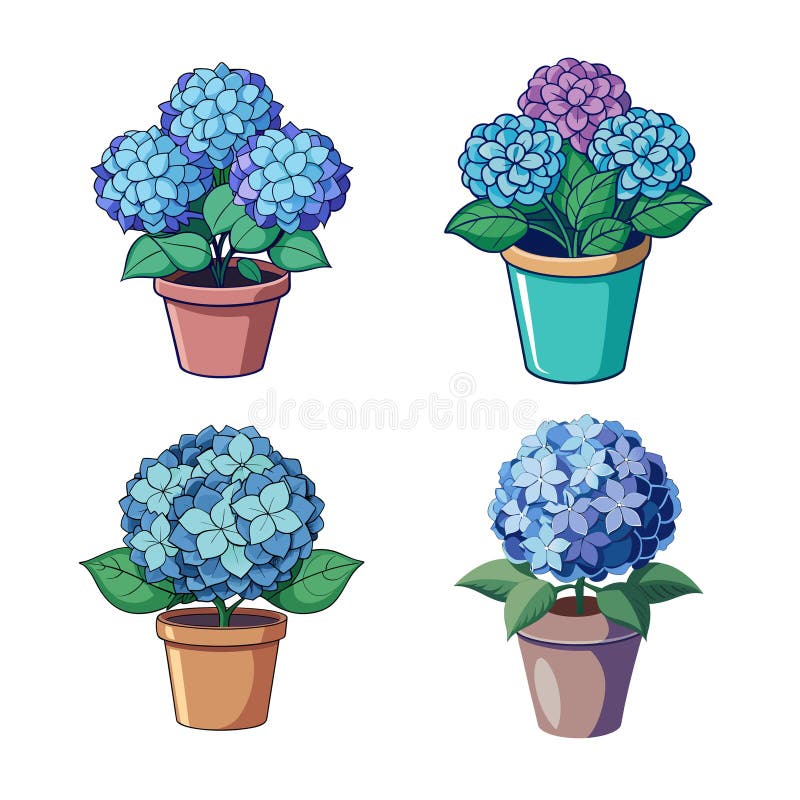 Potted Blue Hydrangea Cartoon Flower Illustration Stock Vector ...