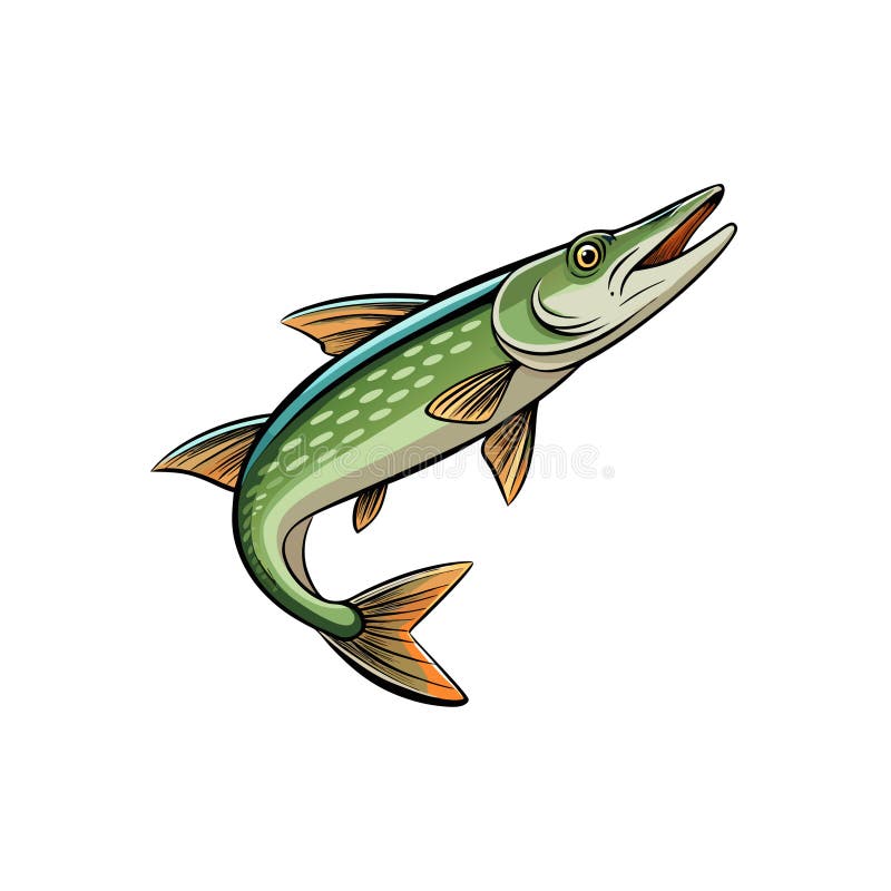Illustration of a Predatory Northern Pike Fish with Open Mouth Stock ...