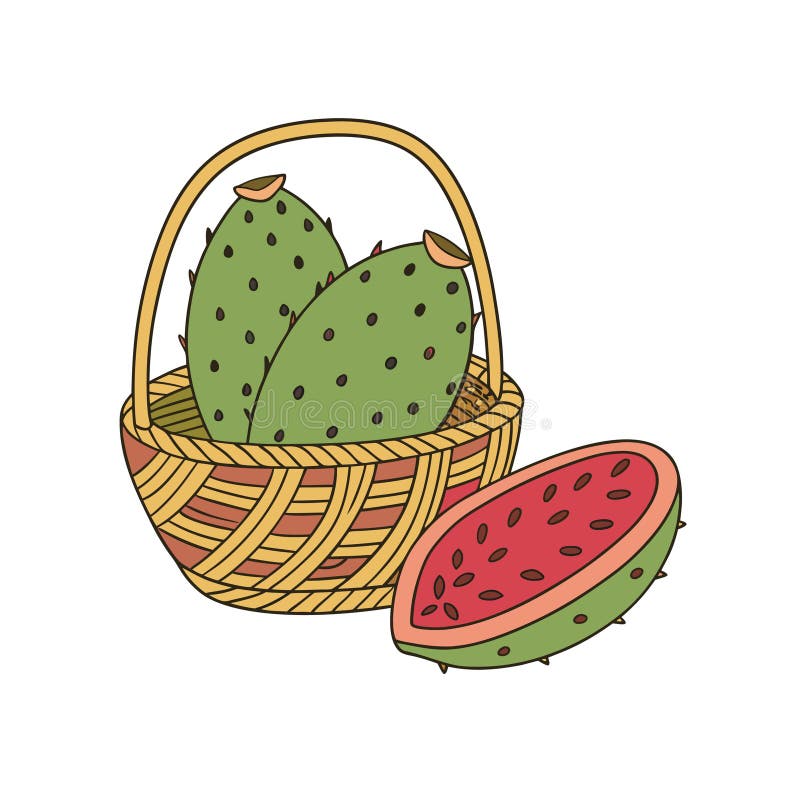 Prickly Pears in Basket and Cut Prickly Pear Stock Image - Illustration ...