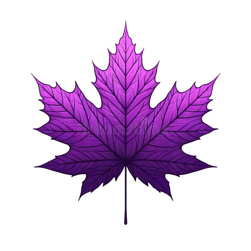 Illustration of a Purple Maple Leaf Stock Illustration - Illustration ...