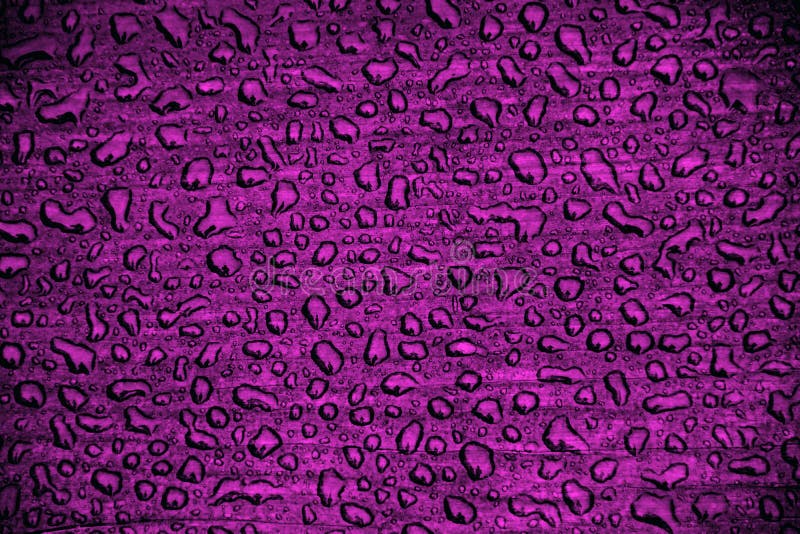 Illustration of Raindrops on Violet Background - Great for Wallpapers ...