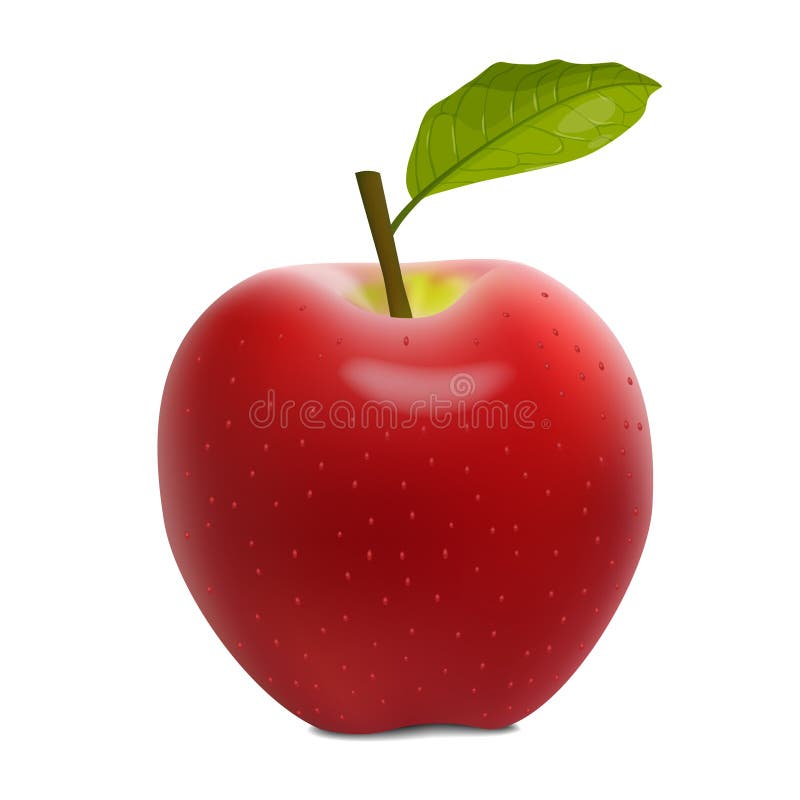 Illustration of red apple stock vector. Illustration of autumn - 78031498