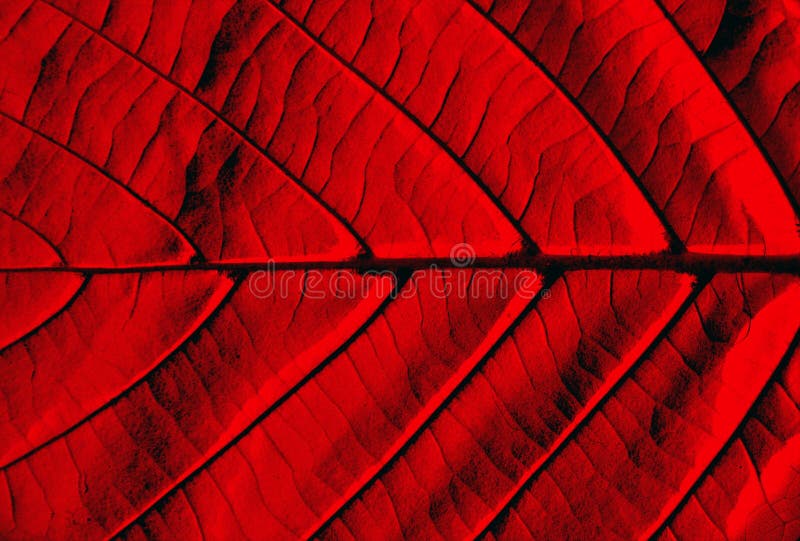 Illustration of Red Cracked Patterns - Great for Wallpapers Stock Image ...
