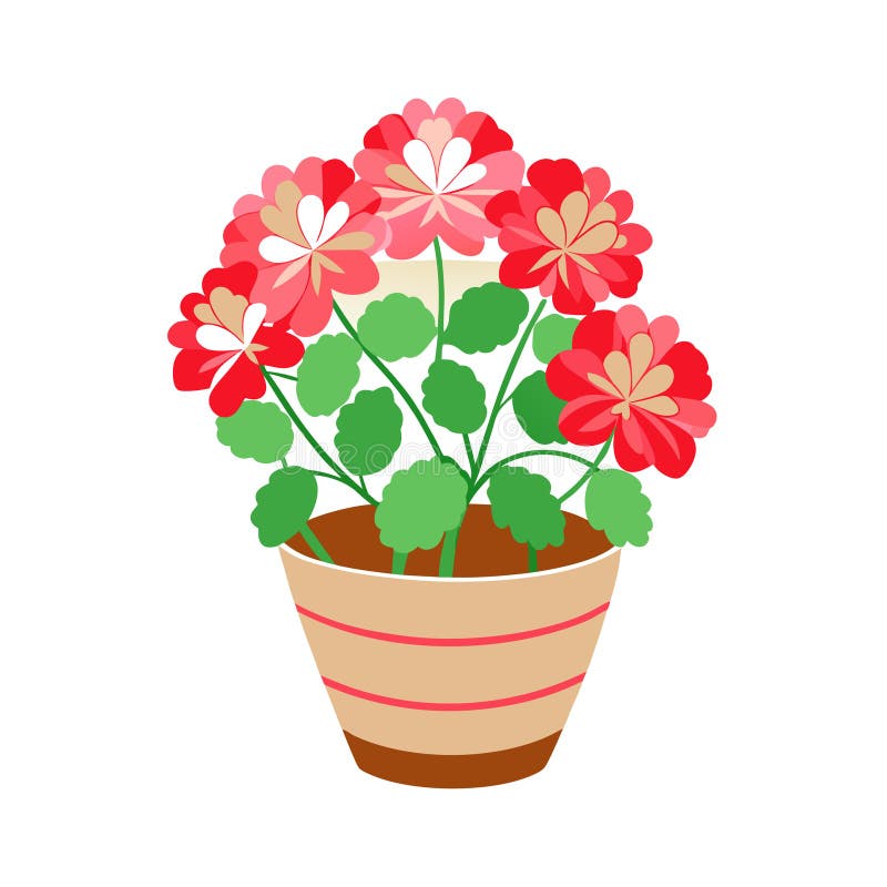 Potted Red Geraniums Illustration: Simple Design with Floral Element ...