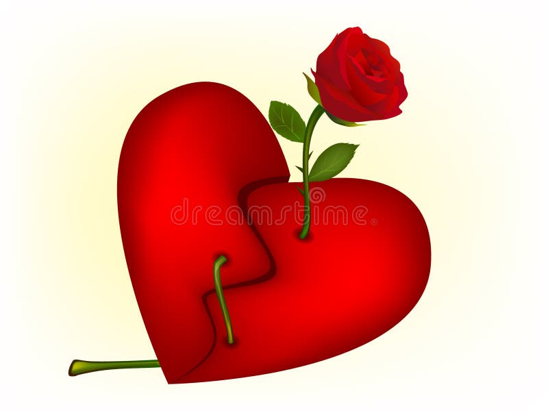 Illustration of Red Rose through a Broken Heart Stock Illustration ...