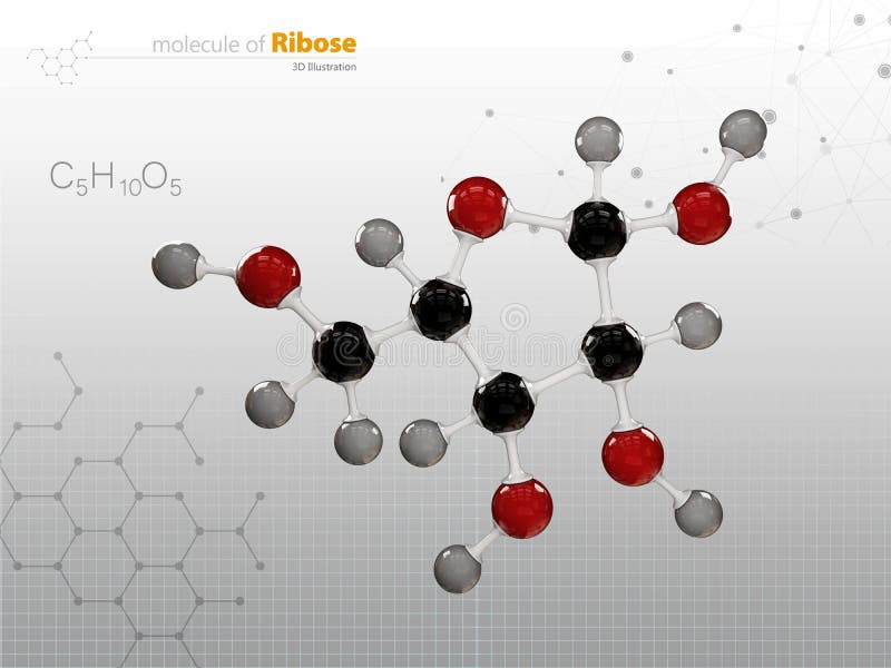 Illustration of Ribose Molecular Structure Isolated White Stock ...
