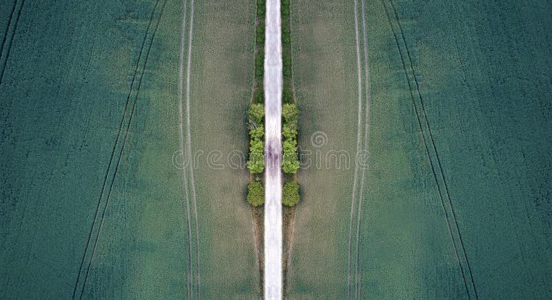 Illustration of the Road with Landscaped Fields Stock Image - Image of ...
