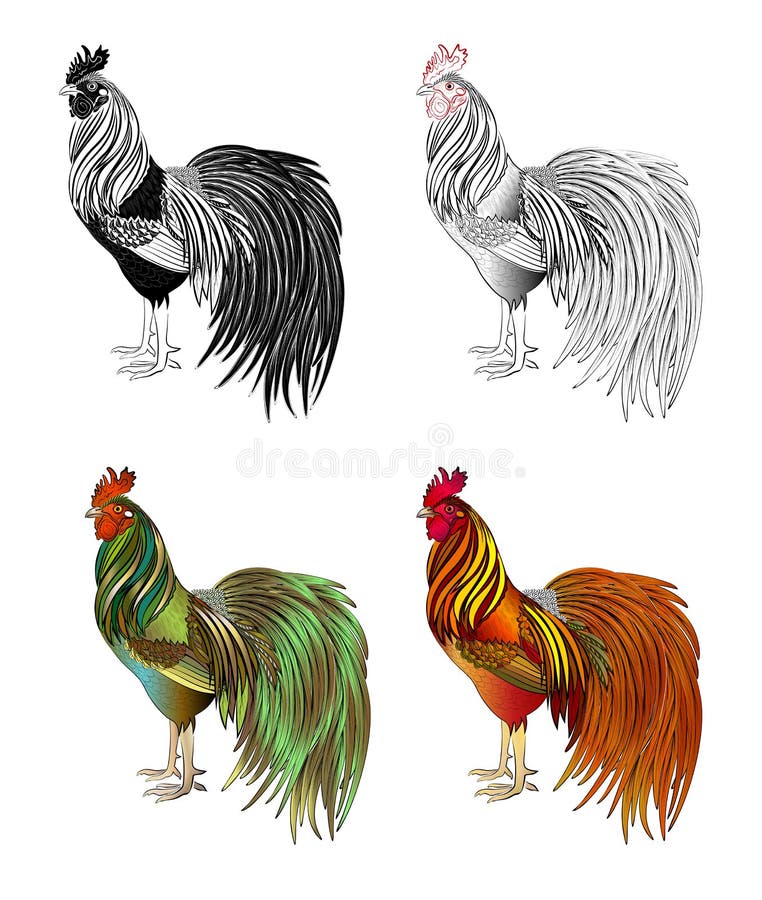 Colors Rooster Stock Illustrations – 1,237 Colors Rooster Stock ...