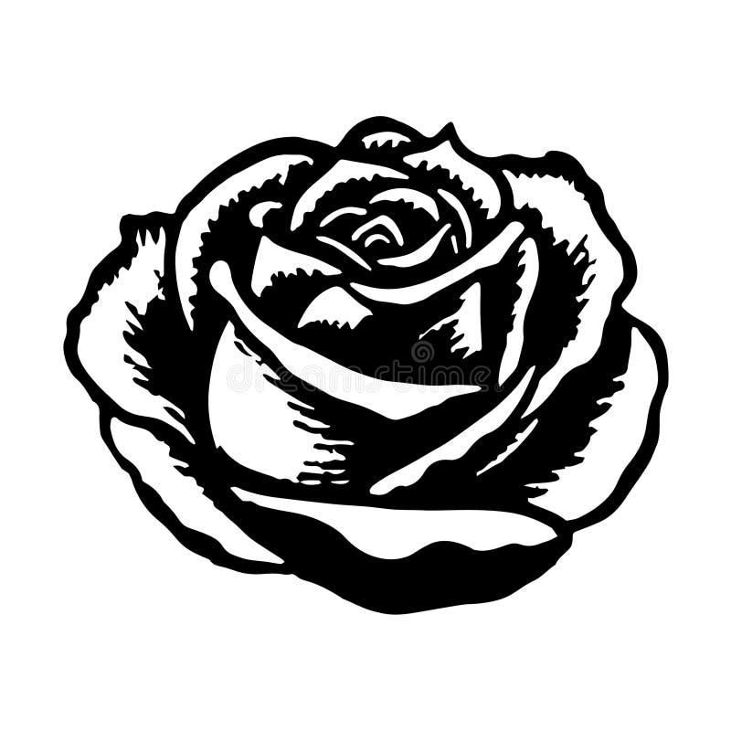 Illustration of Rose in Drawing Stencil Style. Stock Vector ...