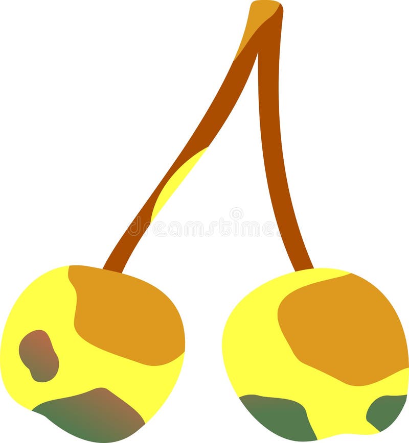 Rotten fruit illustration stock vector. Illustration of cheap - 198325002