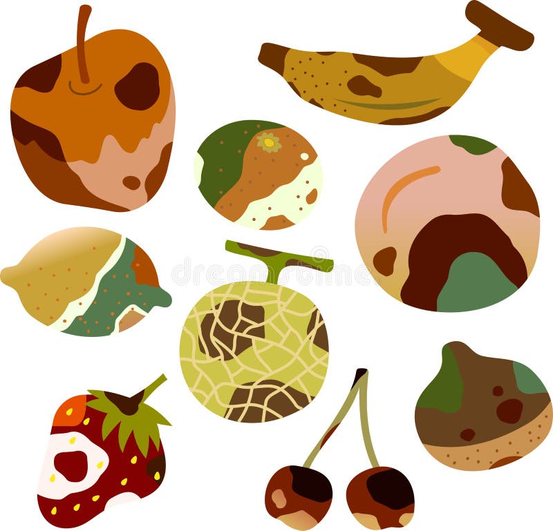 Rotten Fruit Stock Illustrations – 1,355 Rotten Fruit Stock ...