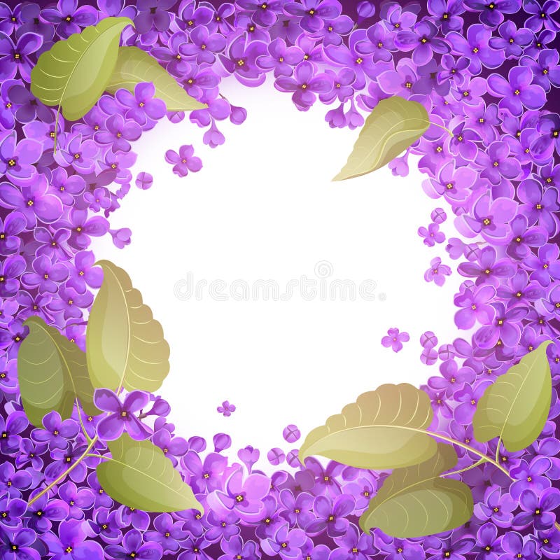 Illustration of a Round Frame of Flowers and Leaves of Lilac. Stock ...