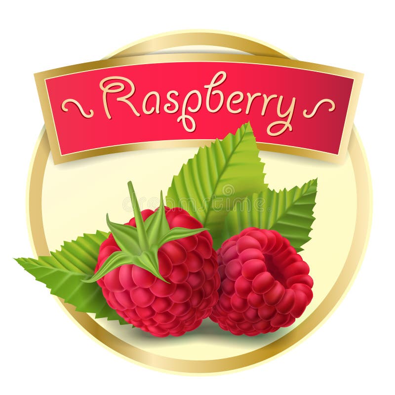 Sticker with raspberry stock vector. Illustration of pattern - 52355983