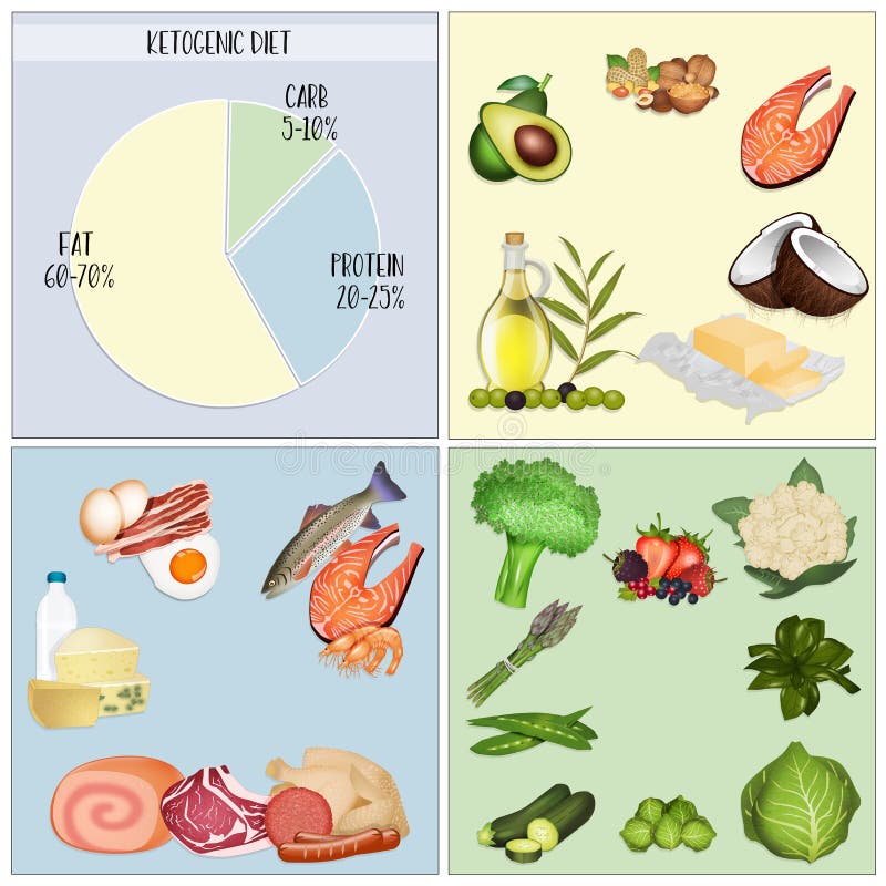 Macronutrients in the Ketogenic Diet Stock Illustration - Illustration ...
