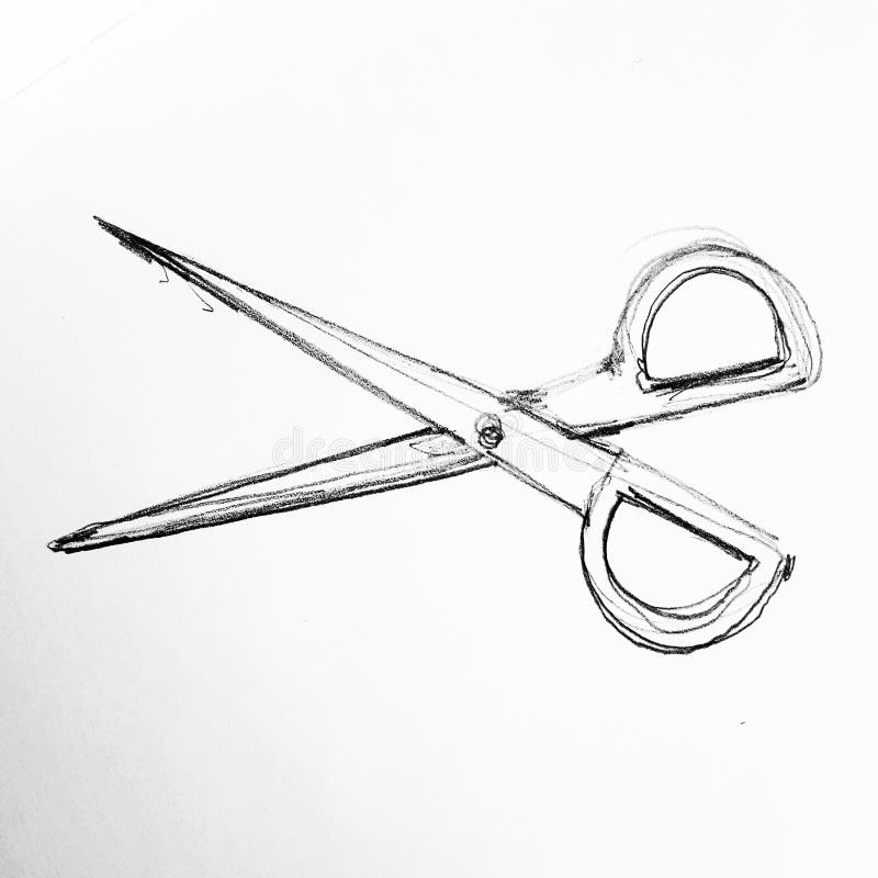 Illustration of Scissors. Black and White Drawing of Scissors. Cutting ...