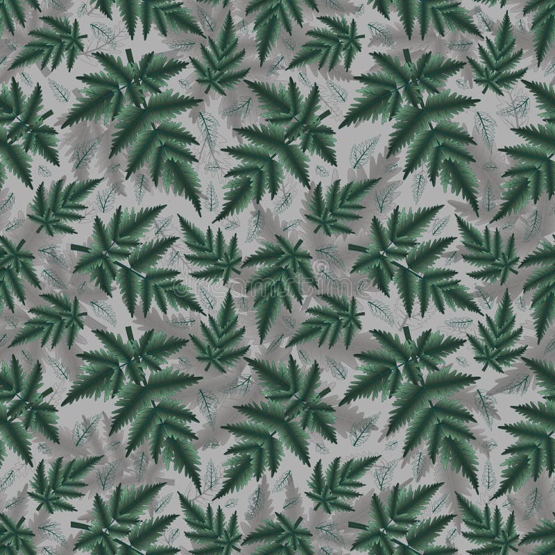 Seamless fern pattern stock vector. Illustration of motif - 101407455