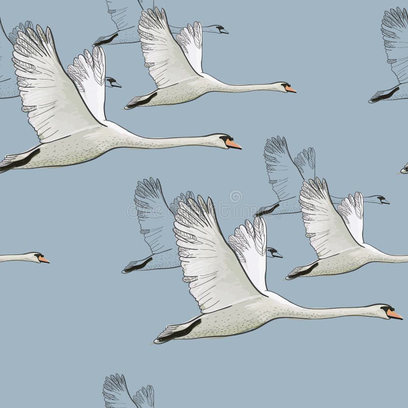 Illustration of Seamless Pattern of Drawing Flying Swans. Hand Drawn ...
