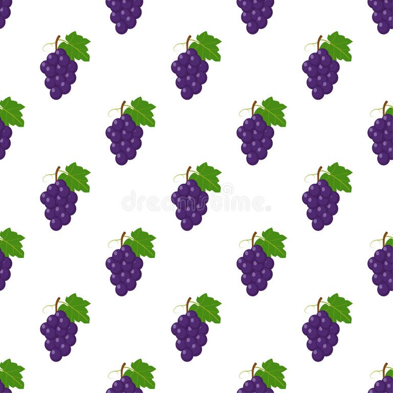 Illustration Seamless Pattern Flat Grape Isolated on White Background ...