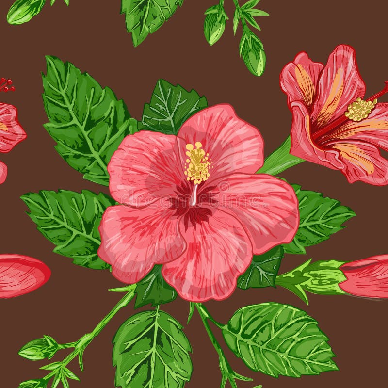 Illustration Of A Seamless Pattern Of Hibiscus Plants Flowers And