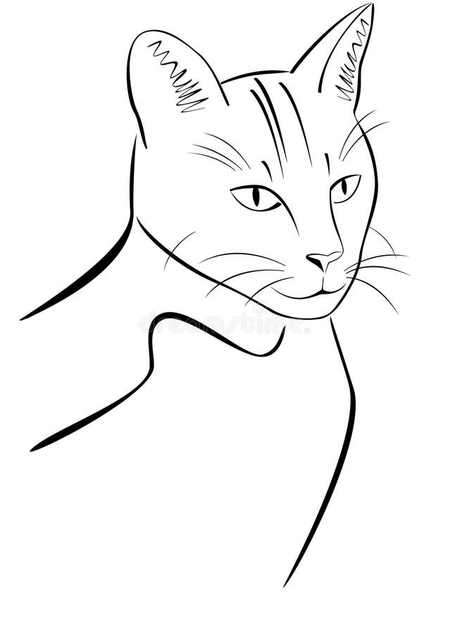 Serious Cat Stock Illustrations – 1,477 Serious Cat Stock Illustrations ...