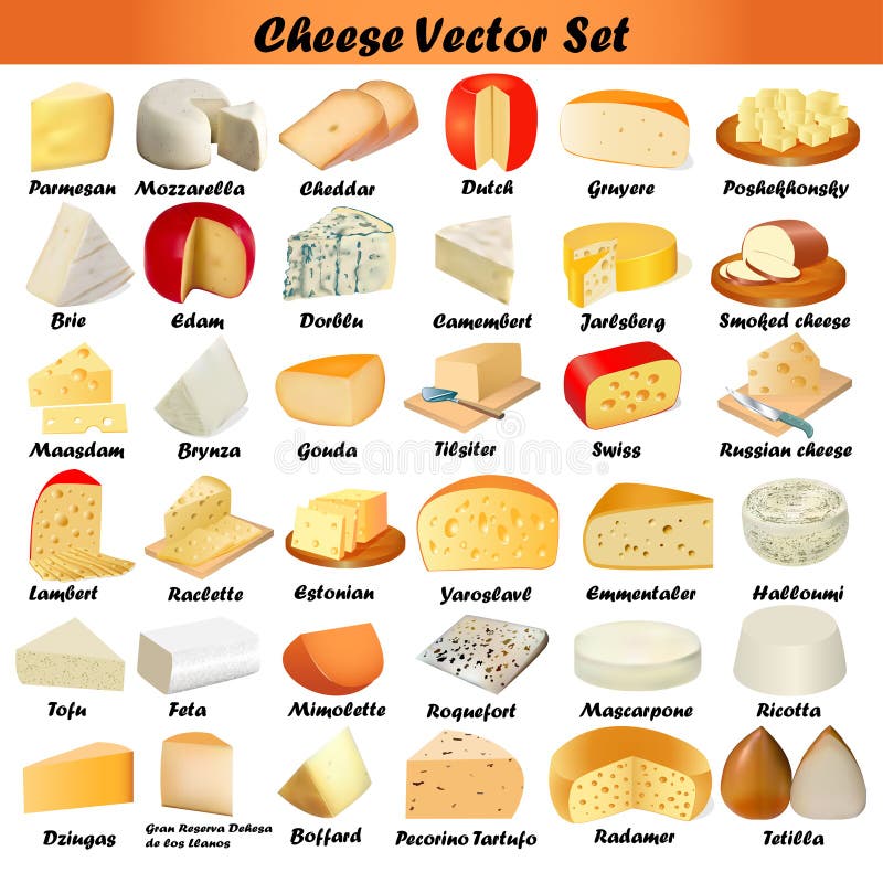 Set of Different Types of Cheese on a White Background Stock Vector ...