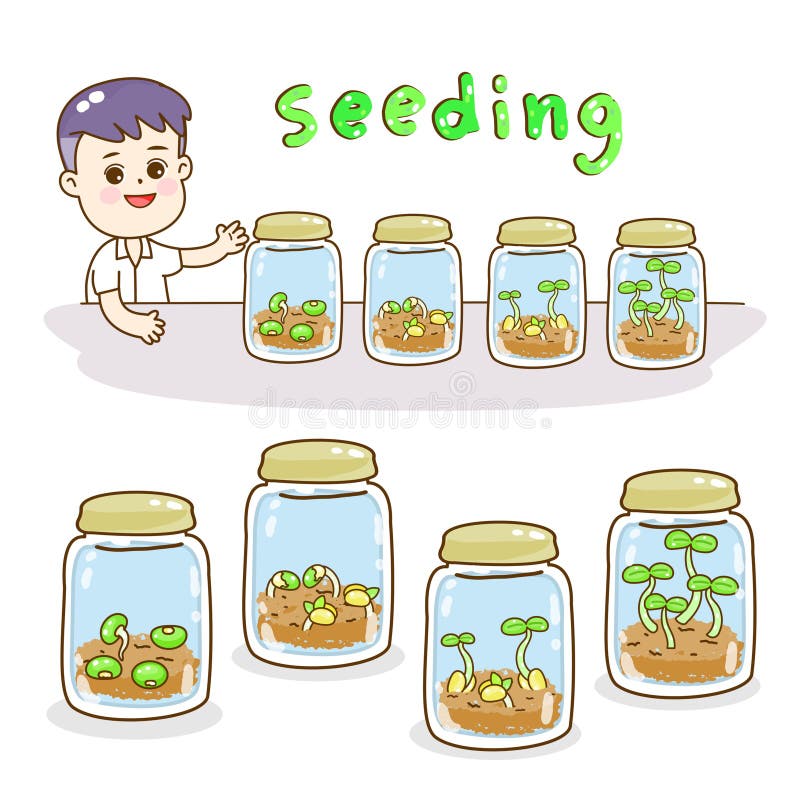 Cartoon Kids and Seeding Vector. Stock Illustration - Illustration of ...