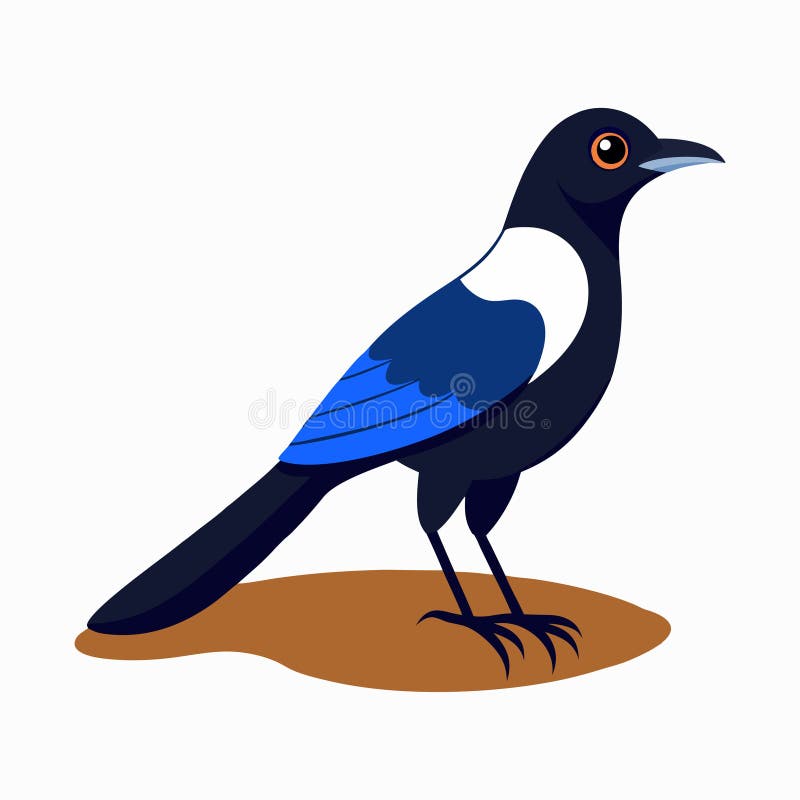 Illustration of a Seychelles Magpie Robin Stock Vector - Illustration ...