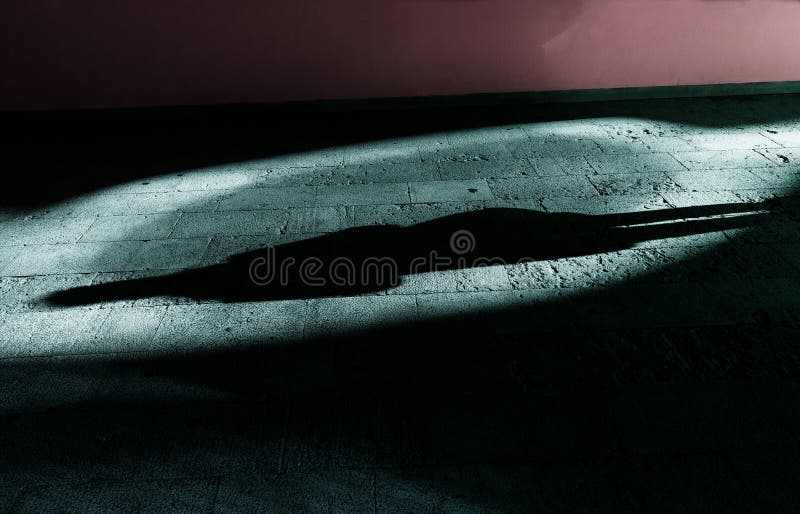 Shadow of the Spy in the Passage Stock Illustration - Illustration of ...