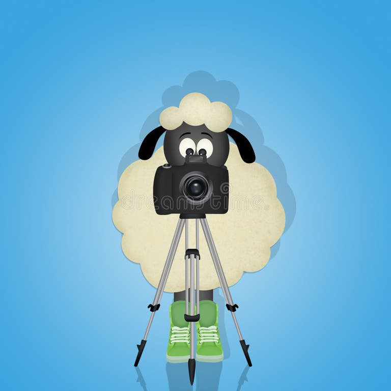 Sheep with Camera on Tripod Stock Illustration - Illustration of nice ...