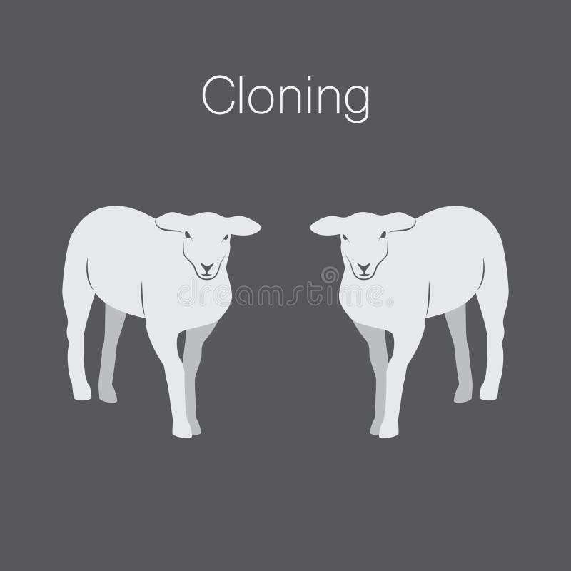 Illustration of Sheep and Clone of Sheep on Dark Background Stock ...