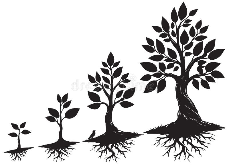 Development Stages Process Stock Illustrations – 8,183 Development ...