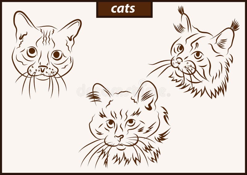 Cats Breed From Behind Line Art Bundle Stock Photo - Illustration of ...