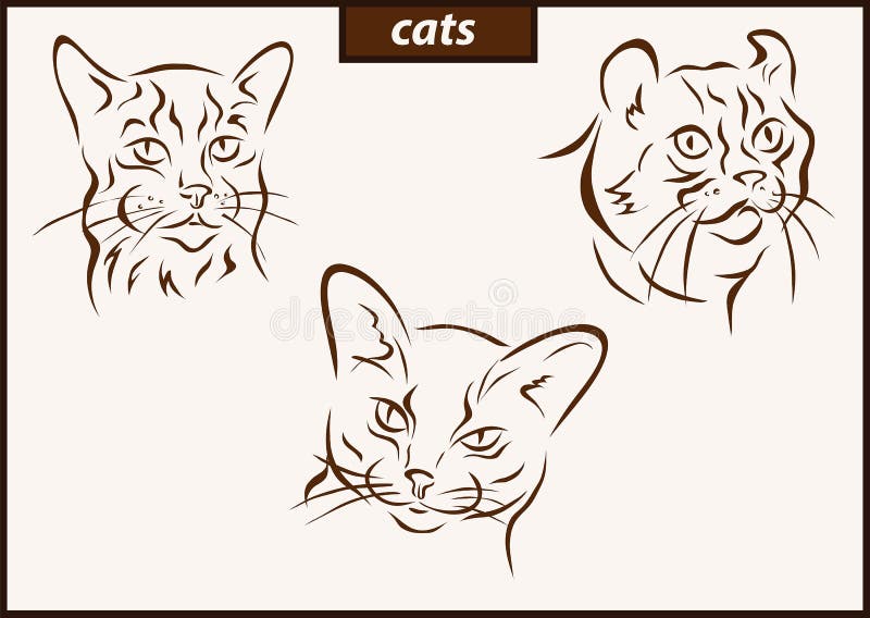 Cats Breed from Behind Line Art Bundle Stock Photo - Illustration of ...