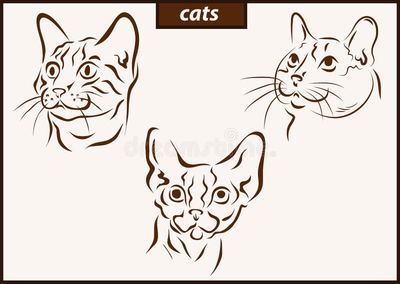 Cats Breed From Behind Line Art Bundle Stock Photo - Illustration of ...