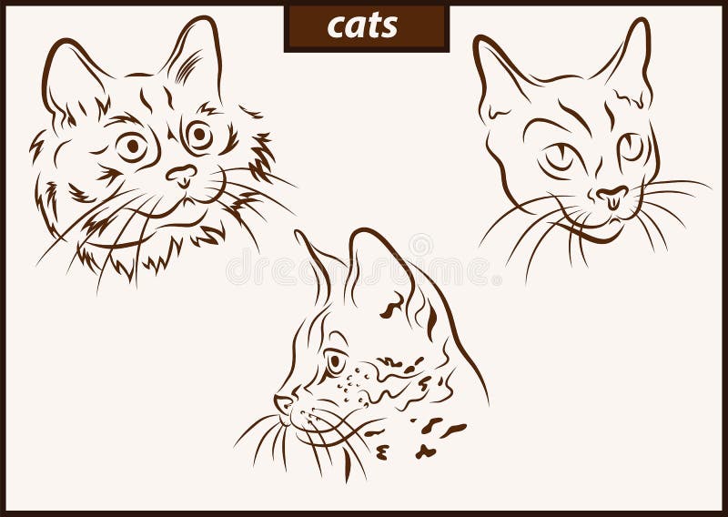 Cats Breed From Behind Line Art Bundle Stock Photo - Illustration of ...