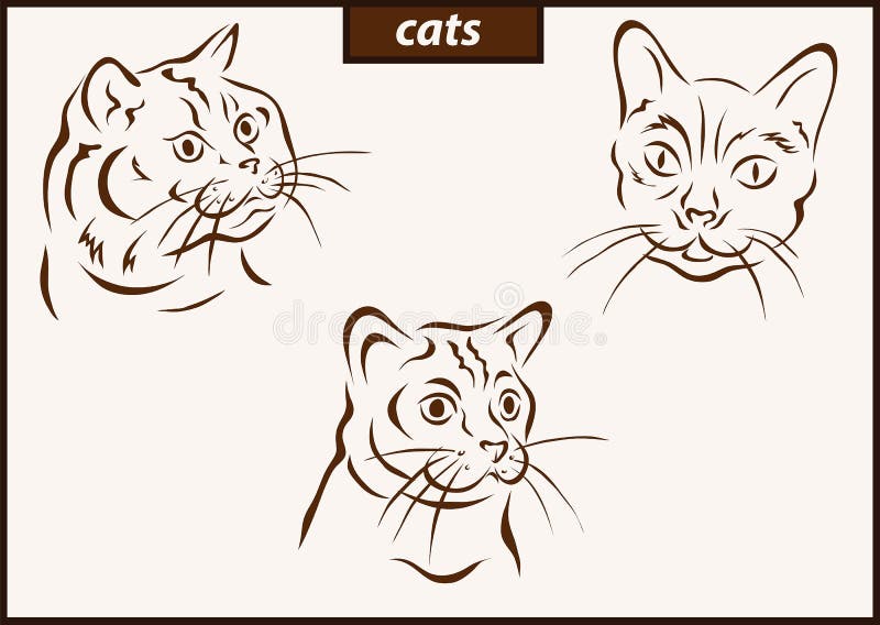 Cats Breed from Behind Line Art Bundle Stock Photo - Illustration of ...