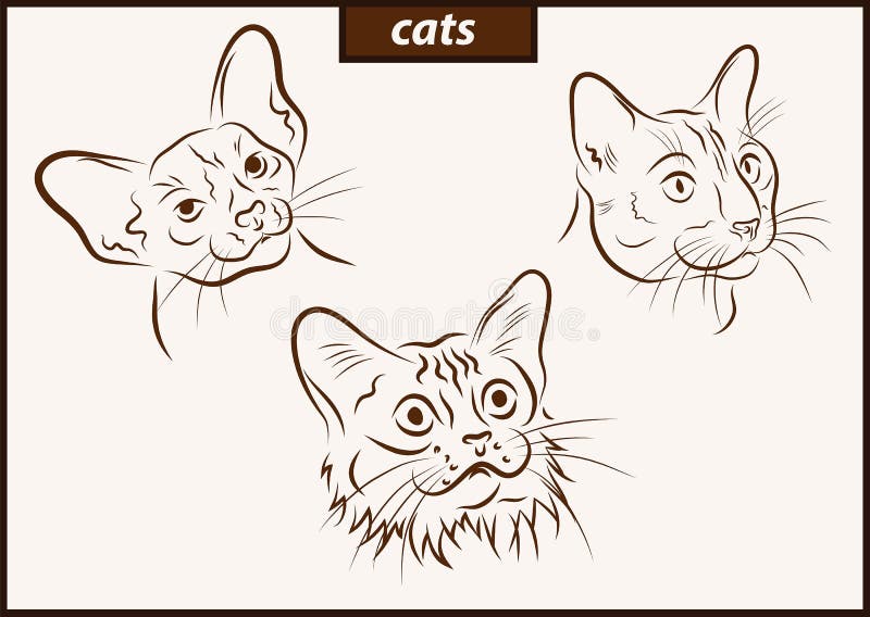 Cats Breed from Behind Line Art Bundle Stock Photo - Illustration of ...