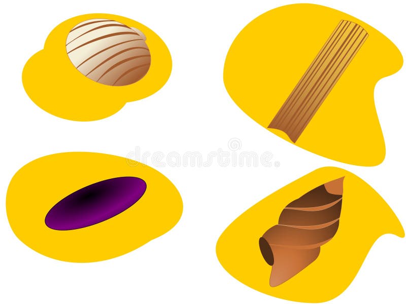 Four Seashells, Digital Art Stock Illustration - Illustration of ...