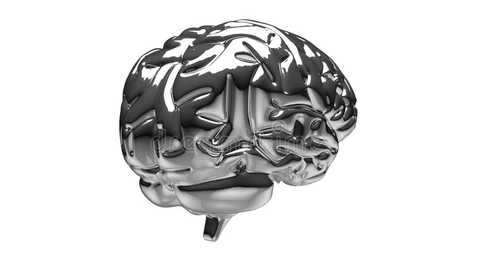 Silver Brain Illustration 3d Model Stock Illustration - Illustration of ...