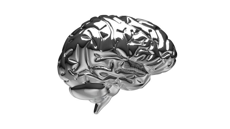 Silver Brain Illustration 3d Render Stock Illustration - Illustration ...