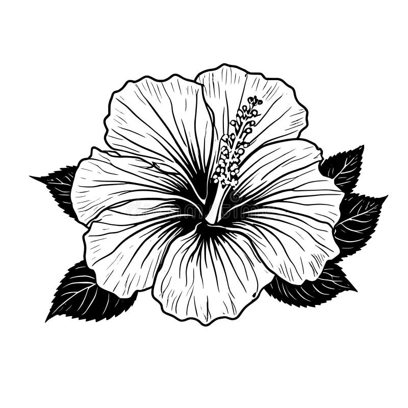 Simple Line Icon of a Hibiscus Flower on a White Background. Stock ...