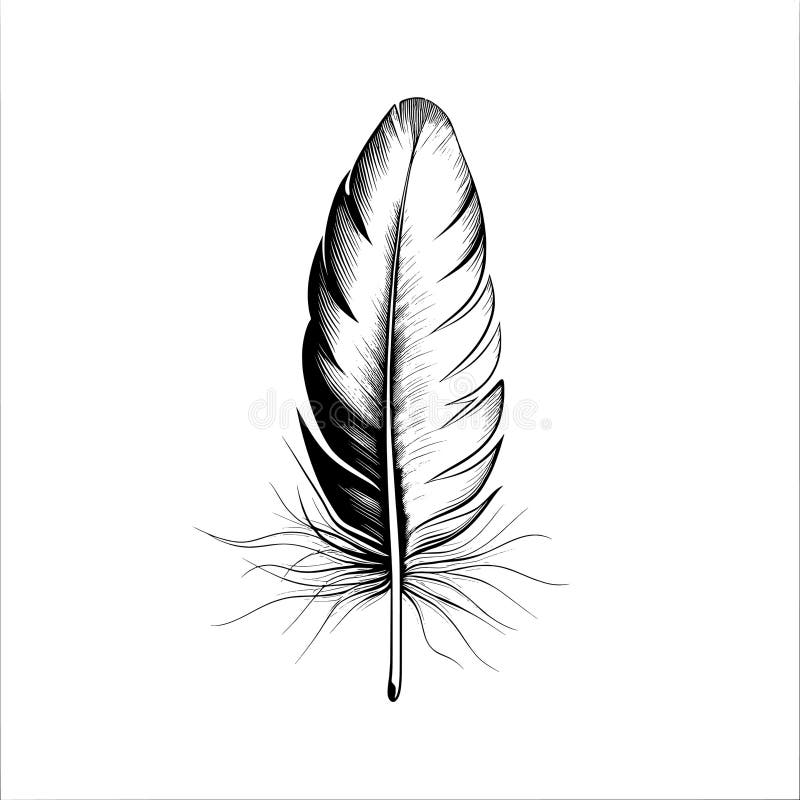 Featuring Simple Line Logo of One Feather. Stock Vector - Illustration ...