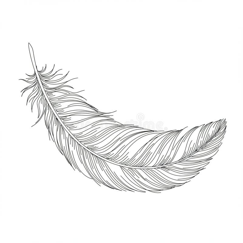 Illustration of a Single Feather with Intricate Linework, Capturing Its ...