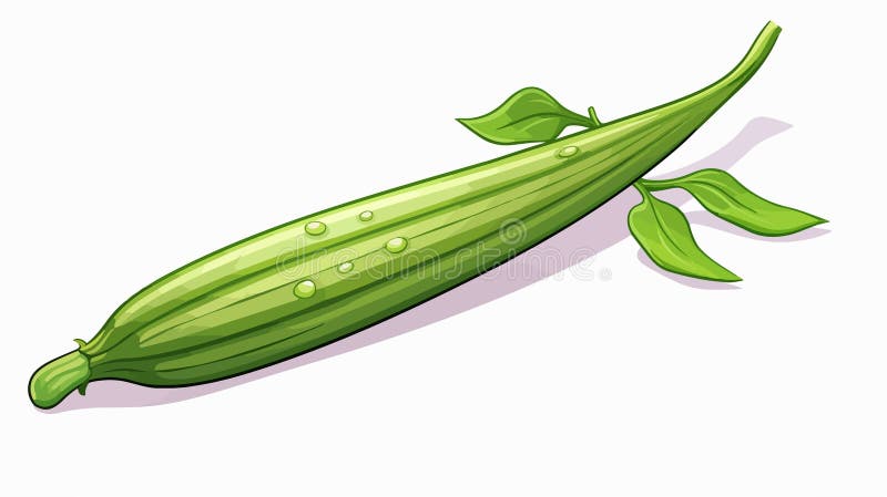 Illustration of Single Fresh Okra Vector Cartoon Stock Illustration ...