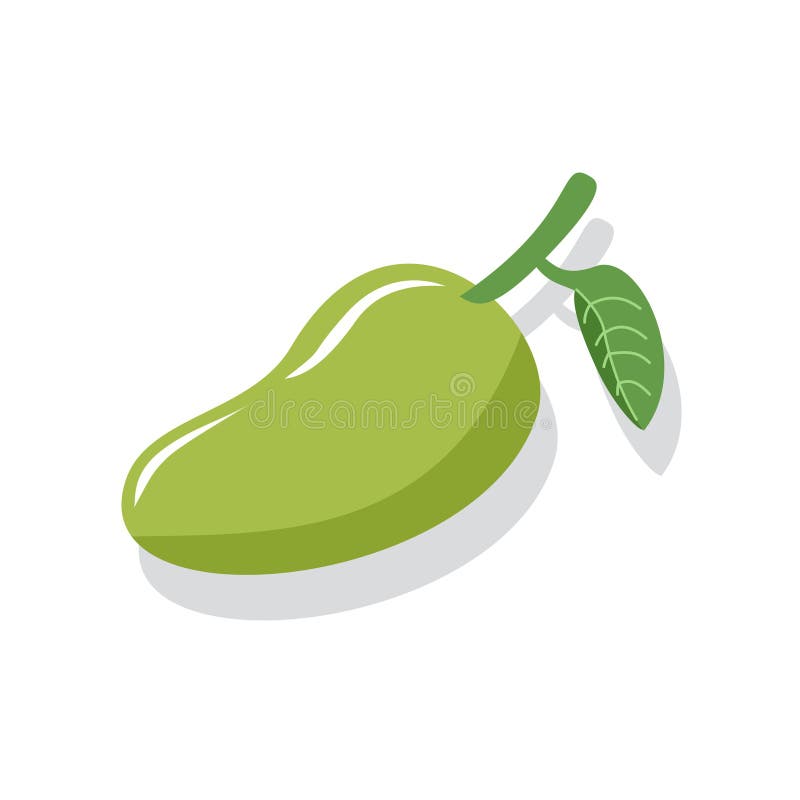 Mangoes Fruit Illustration. Green Mangos. Raw Fruit. Ripe Mangoes ...