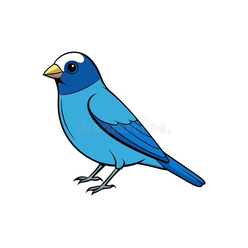Cartoon Indigo Bunting Illustration on a White Background Stock Image ...