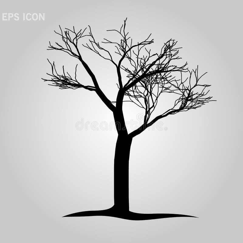 Sketch Of Dead Tree Without Leaves , Isolated On White Background Stock ... Sketch Of Dead Tree Without Leaves , Isolated On White Background Stock ...