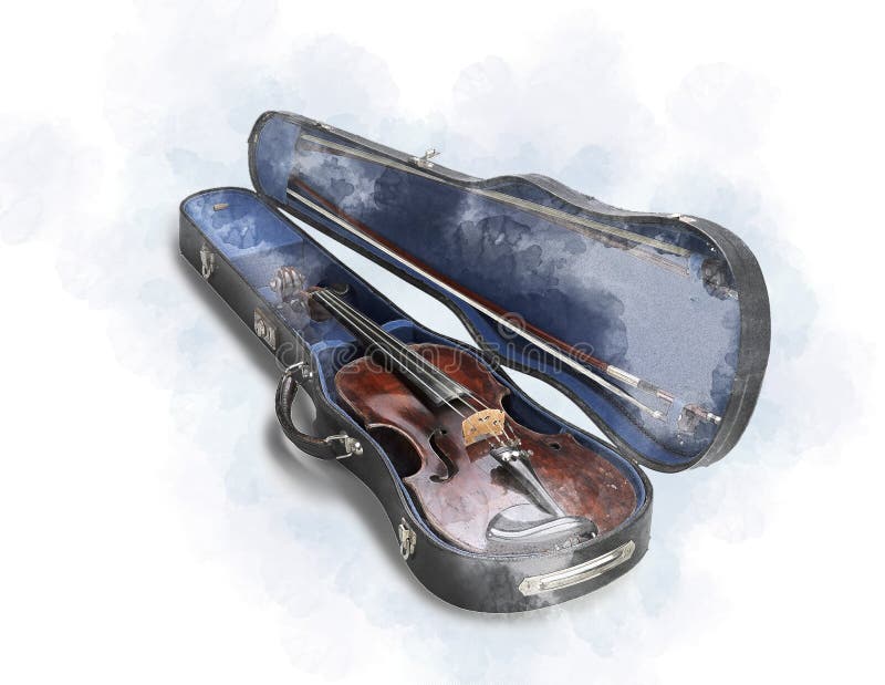 Cool Violin Case