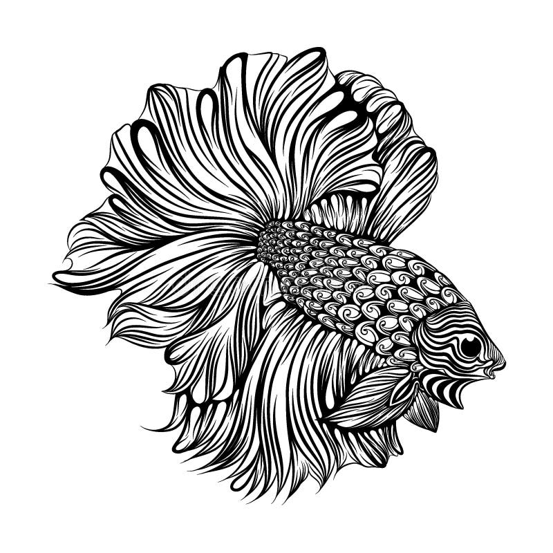 Beta Tail Stock Illustrations – 401 Beta Tail Stock Illustrations ...